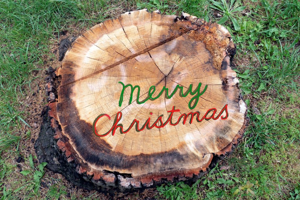 a WORD or TWO - occasional words, reviews, photos, opinion pieces and ...